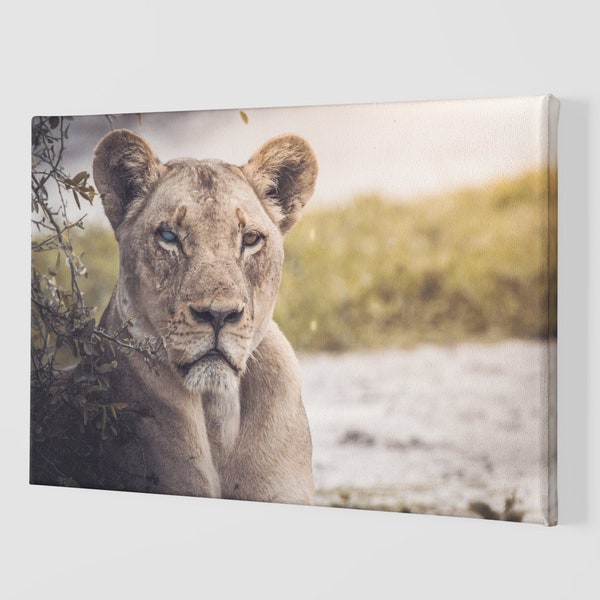 Female Lion Art - Etsy