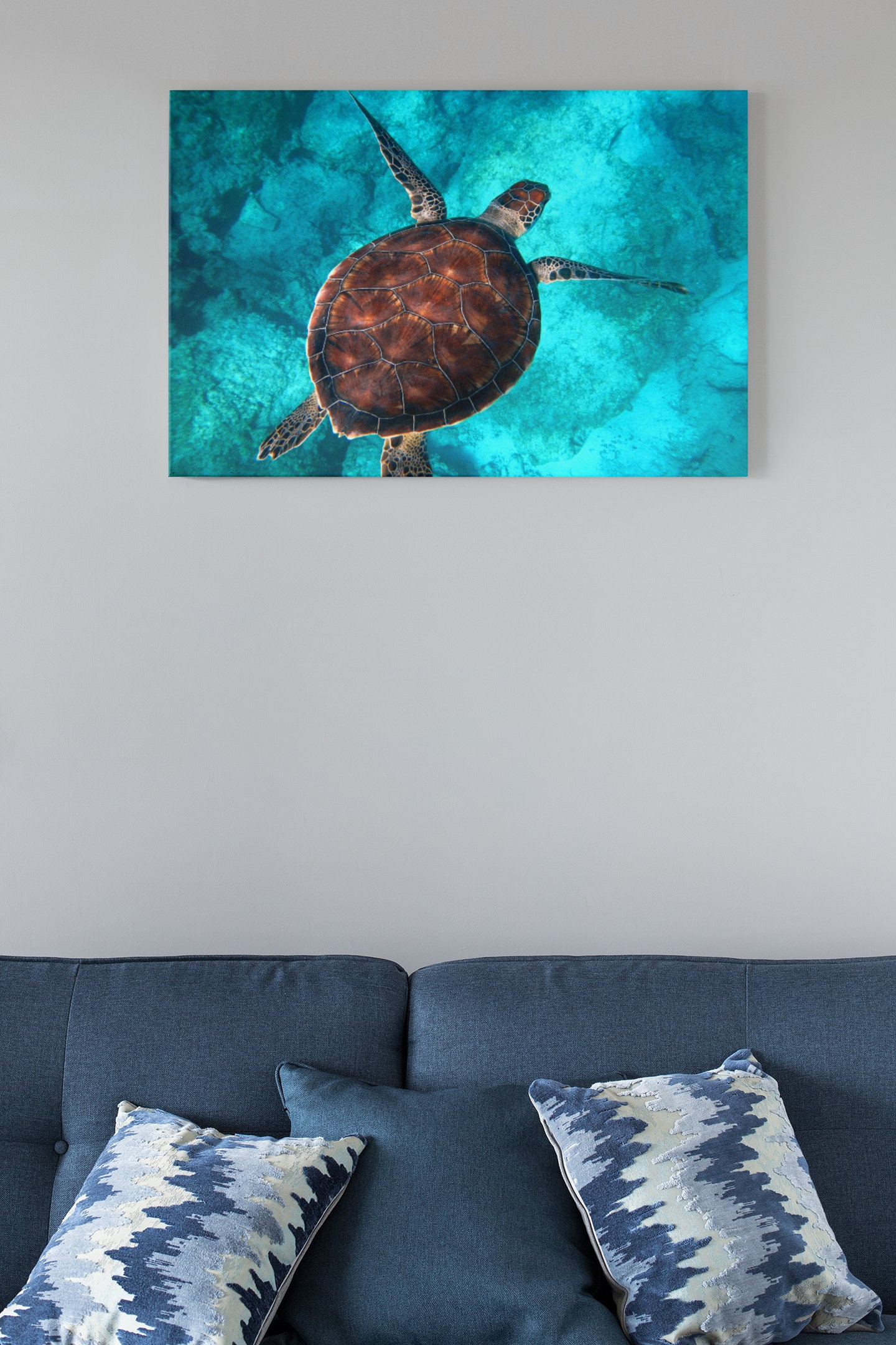 Big Sea Turtle Swimming Through the Ocean at Kaputas Beach High Gloss ...