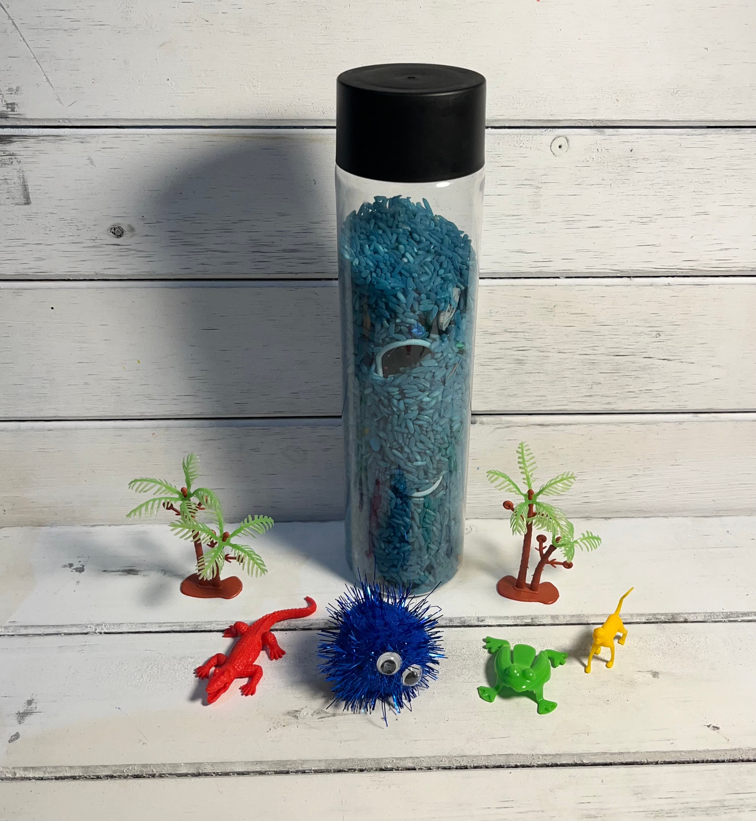 I Spy Bottle Seek and Find Sensory School Classroom Games Spy Jar ...