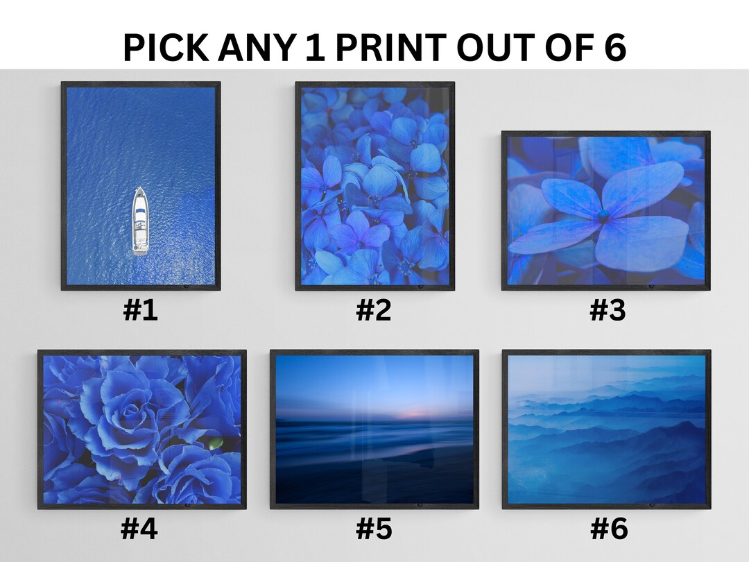 Blue Photo Print, Blue Photography Print Blue Nature Photo, Blue Floral ...
