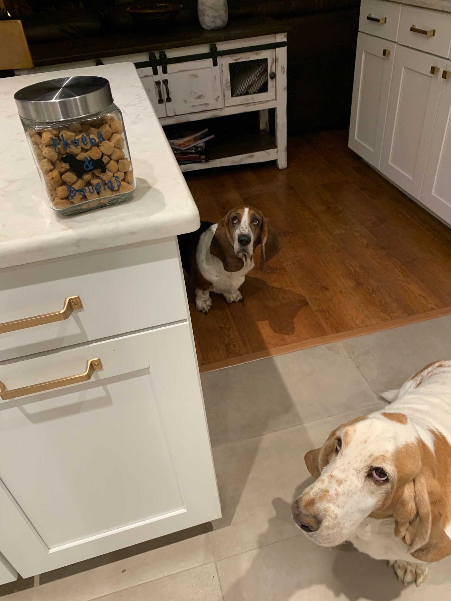 Basset Hound Cookie Jar, Custom Treat Container, Personalized Dog ...