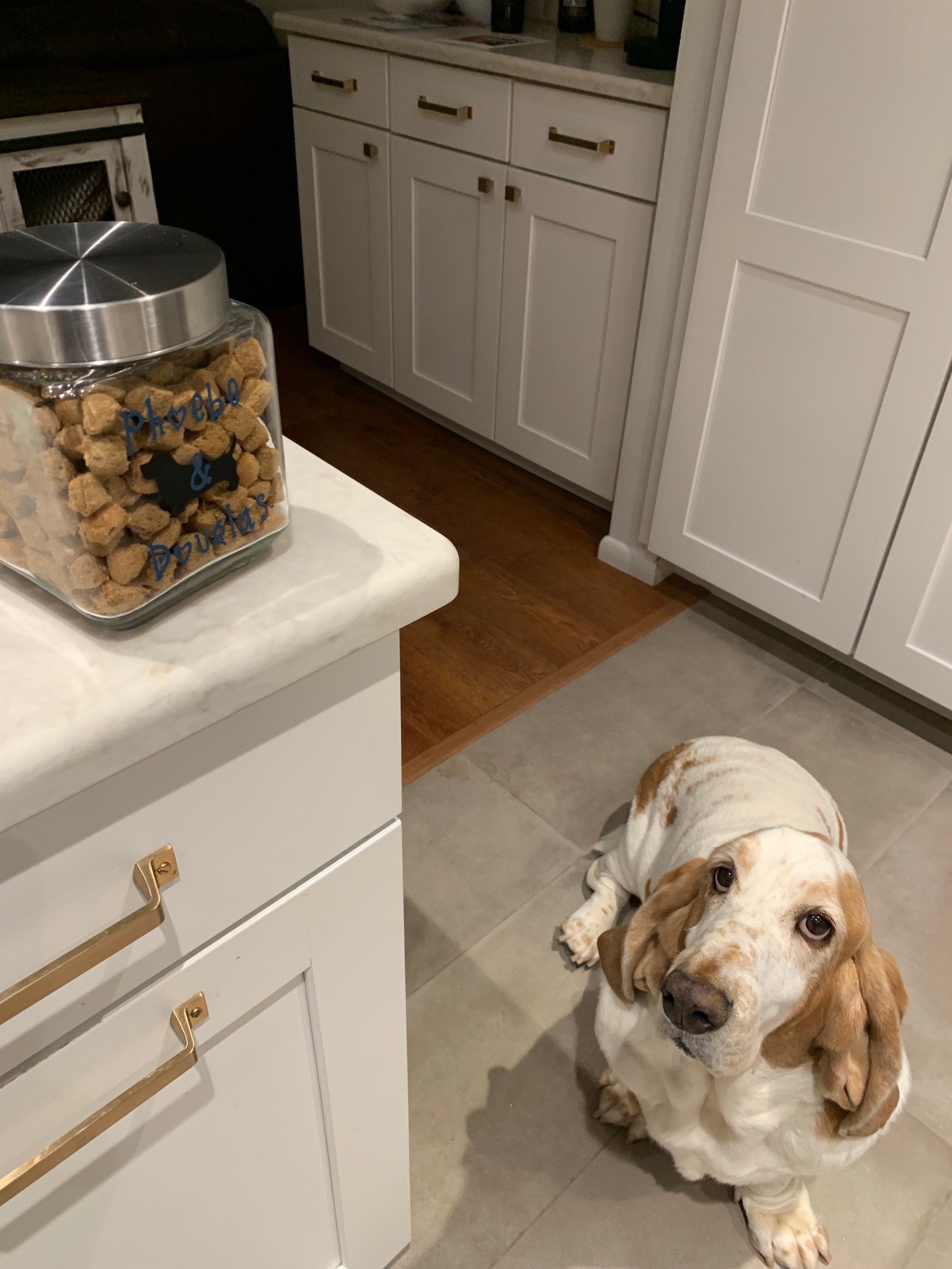 Basset Hound Cookie Jar, Custom Treat Container, Personalized Dog ...