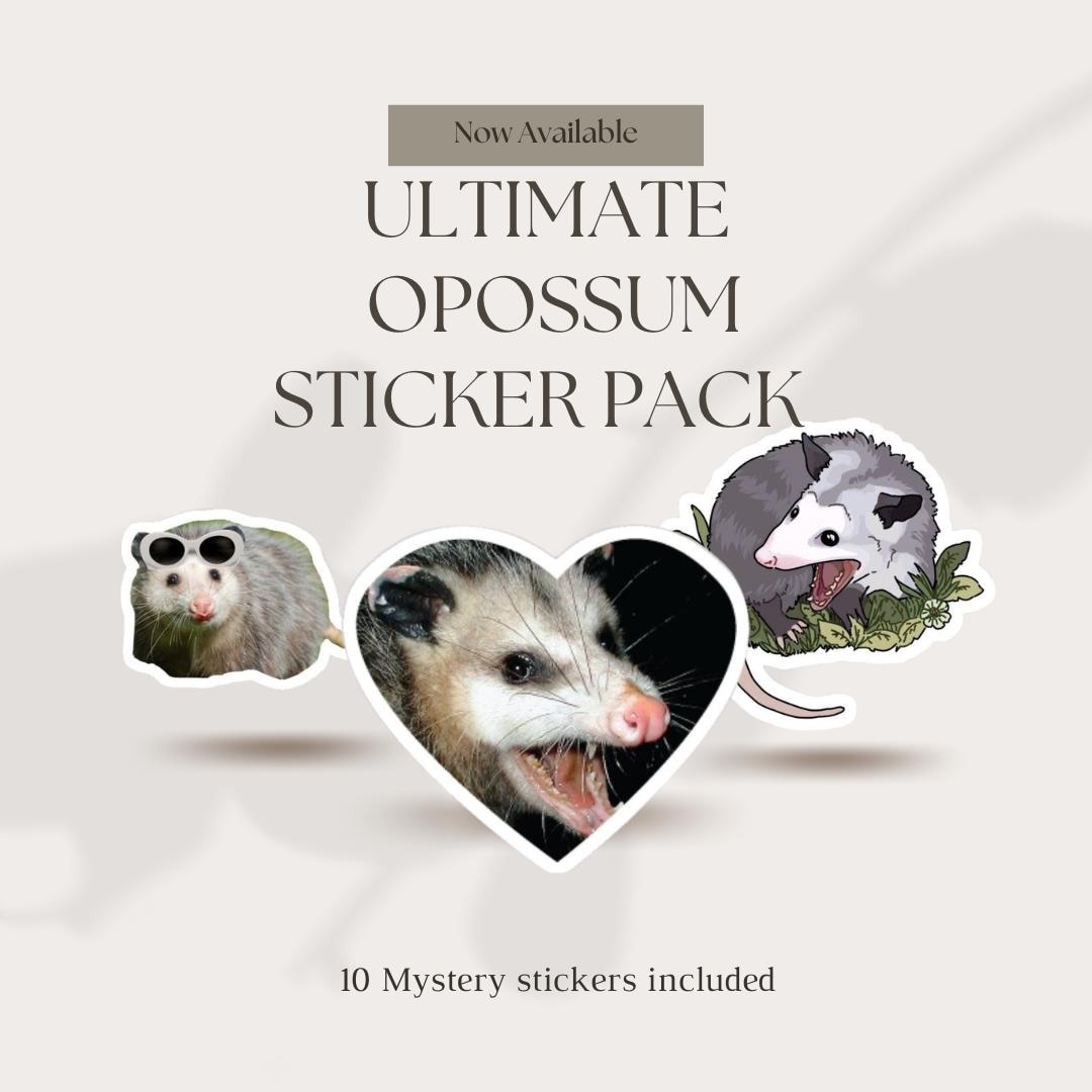 Opossum 10pc Sticker Pack - Etsy