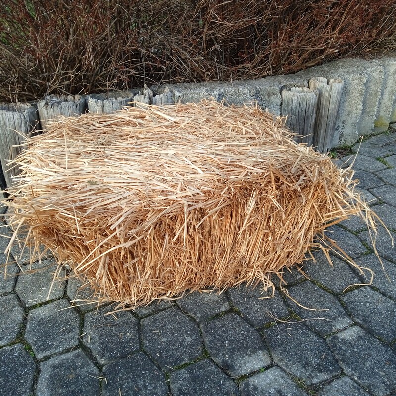 Wheat Straw - Etsy
