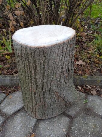 Extra Large XXL Basswood Stump for Big Carving and Crafting - Etsy
