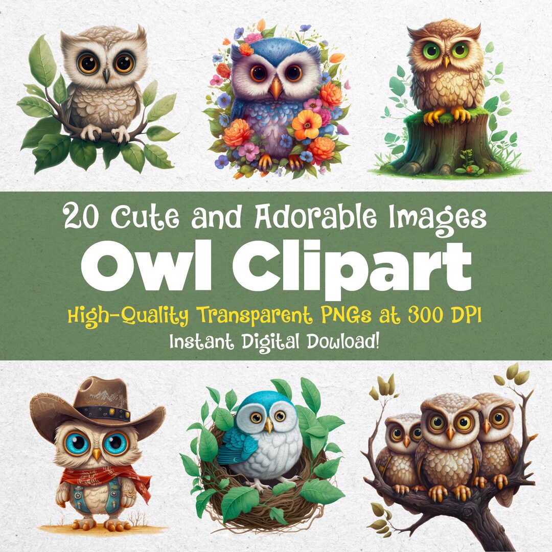 20 Super Cute Owl Clipart PNG Files – Perfect for Scrapbooking ...