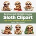 Cute and Adorable Sloth Clipart Bundle 20 High-quality Pngs - Etsy