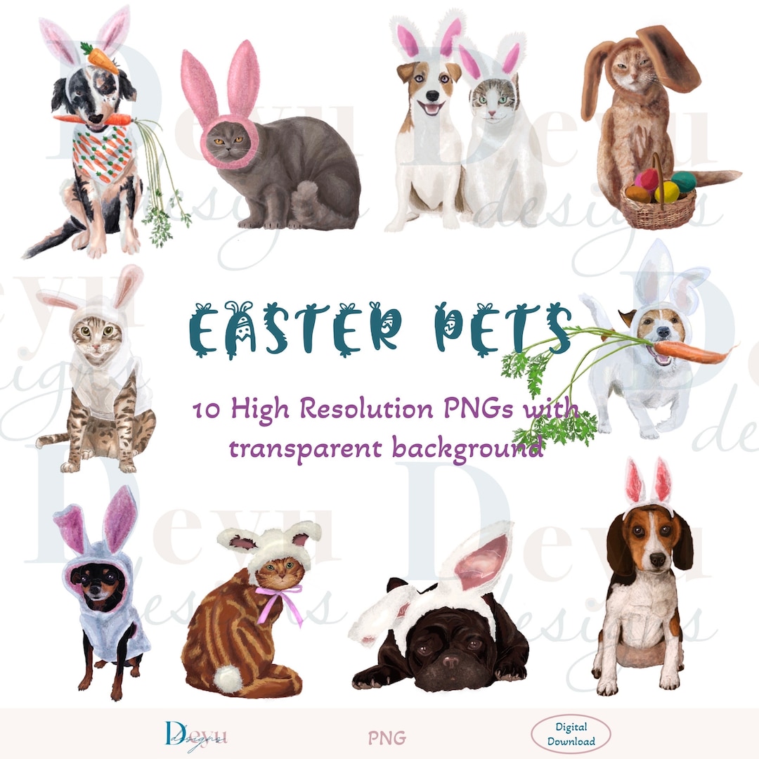 10 High Resolution Funny Easter Pets PNG Images With Transparent ...