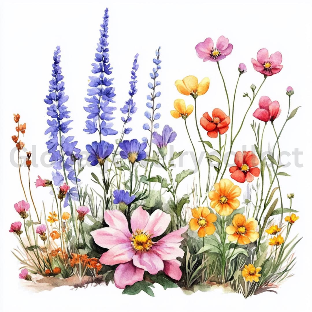 Wildflower Flowerbed Clipart, Wild Flowers, Printable Watercolor ...