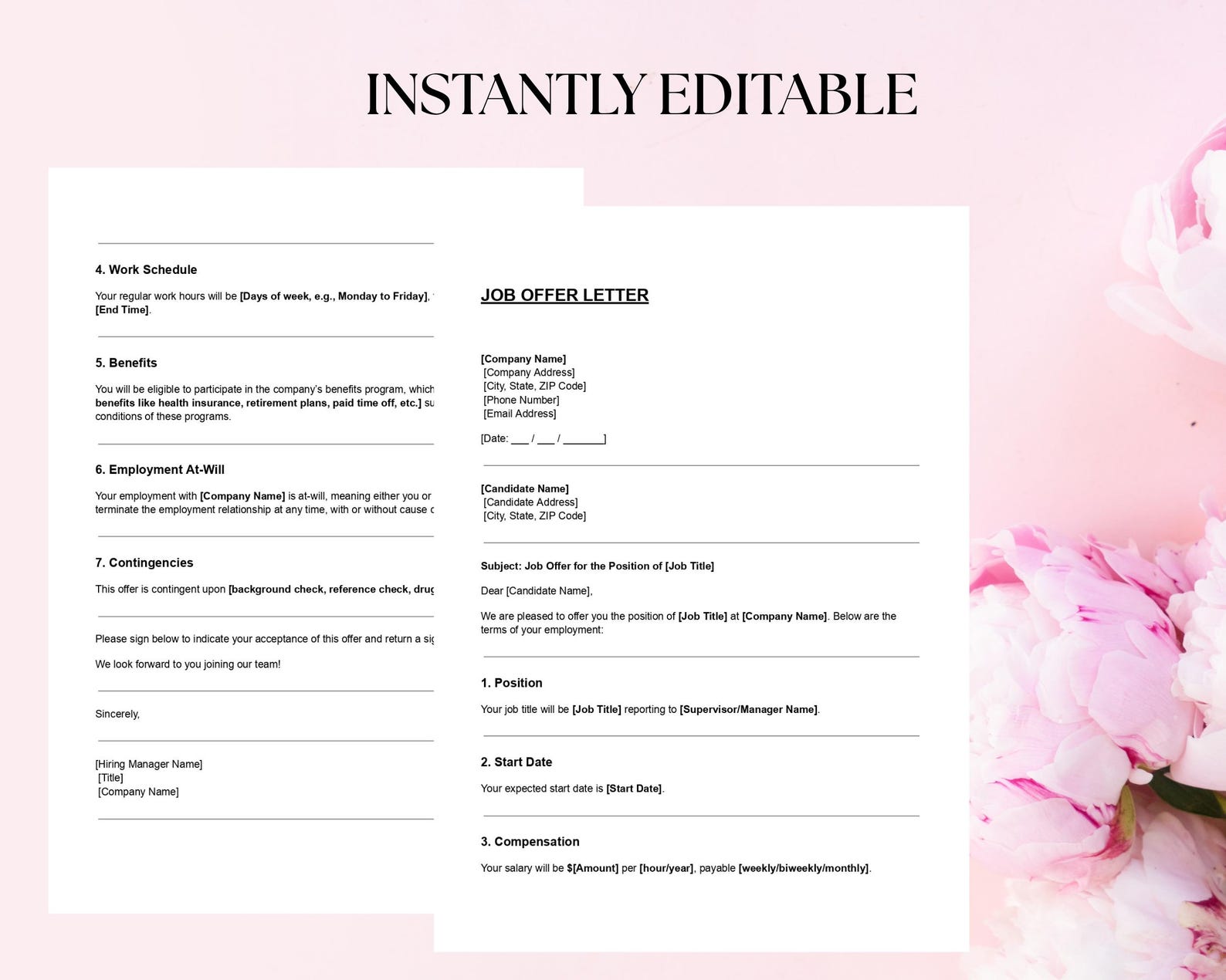 Job Offer Letter Template | Formal Employment Offer | Editable DOC ...