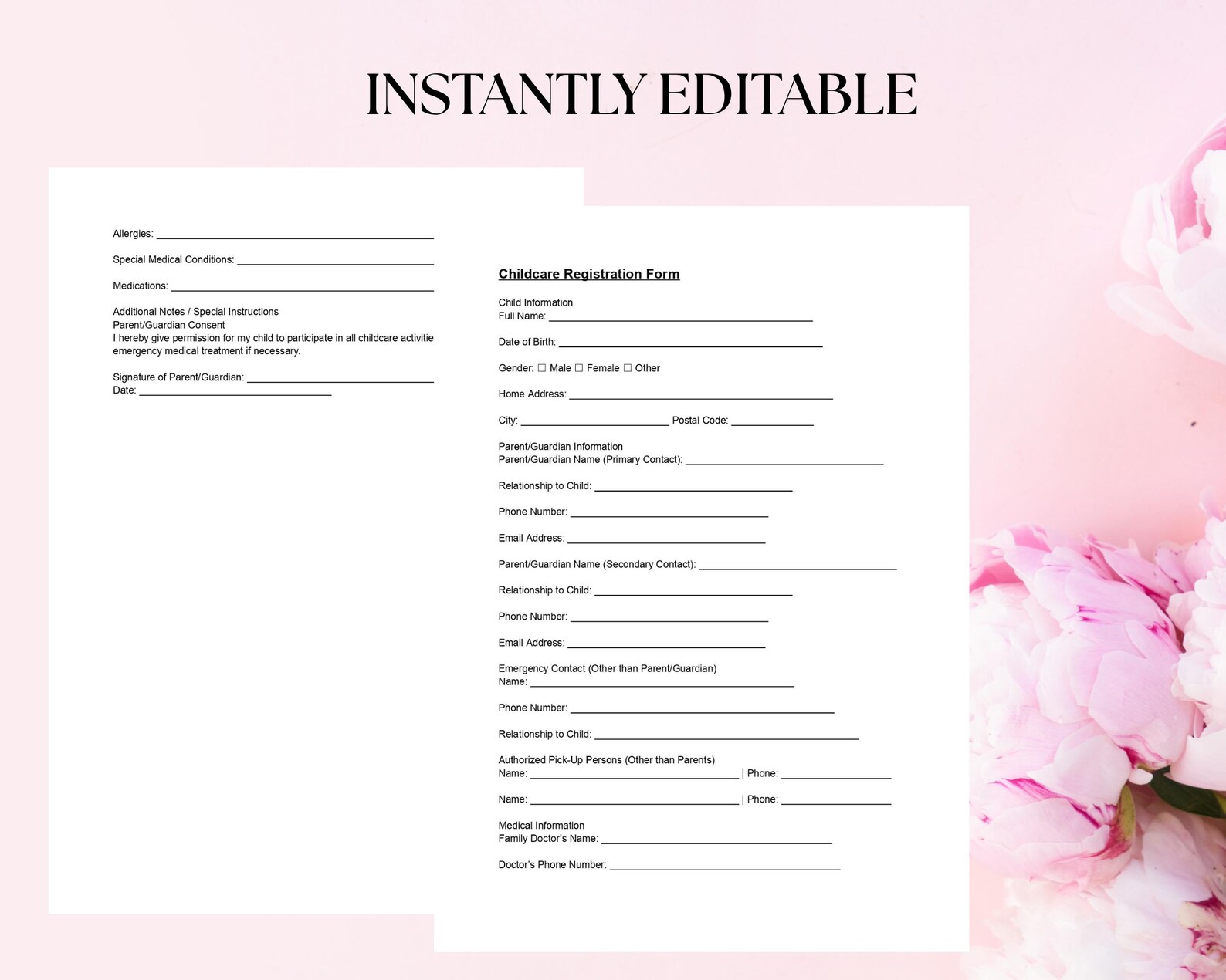 Editable Childcare Registration Form: DOC & PDF Template - Etsy