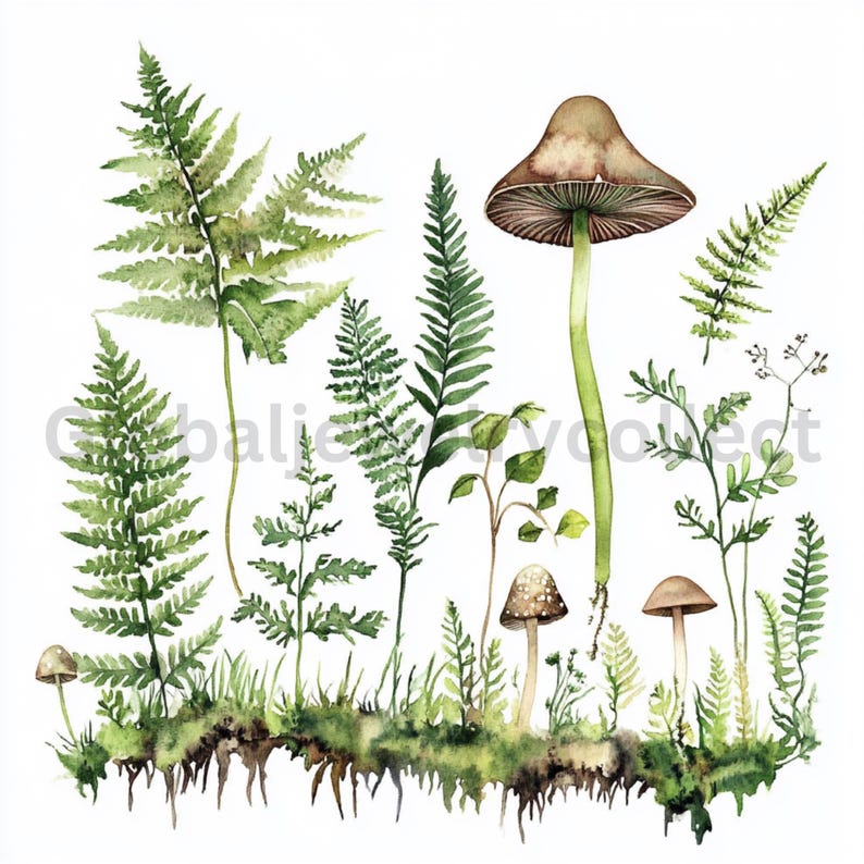 Botanical Ferns Clipart, Fern Moss Decor, Printable Watercolor Clipart ...