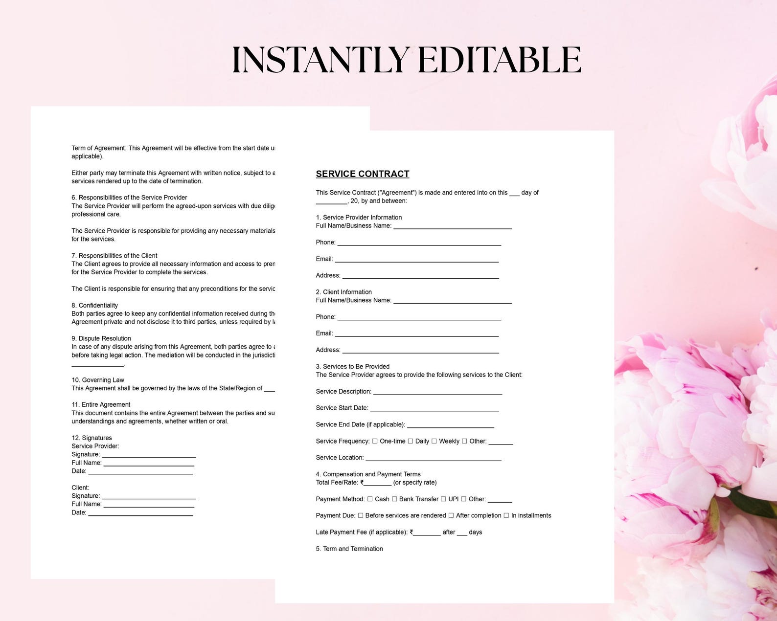 Service Contract Template | Professional Services Agreement | Editable ...