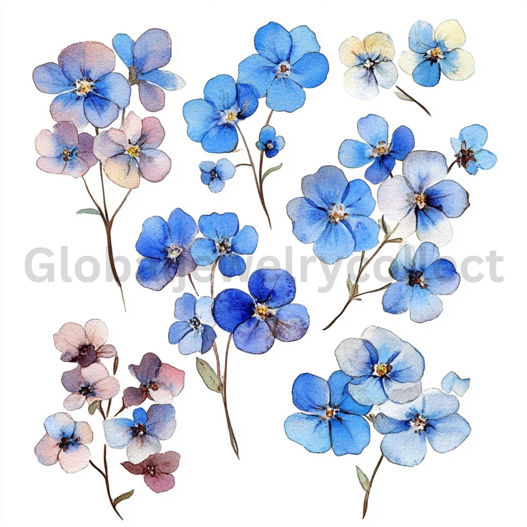 Dried Forget Me Not Clipart, Forget-me-not, Printable Watercolor ...