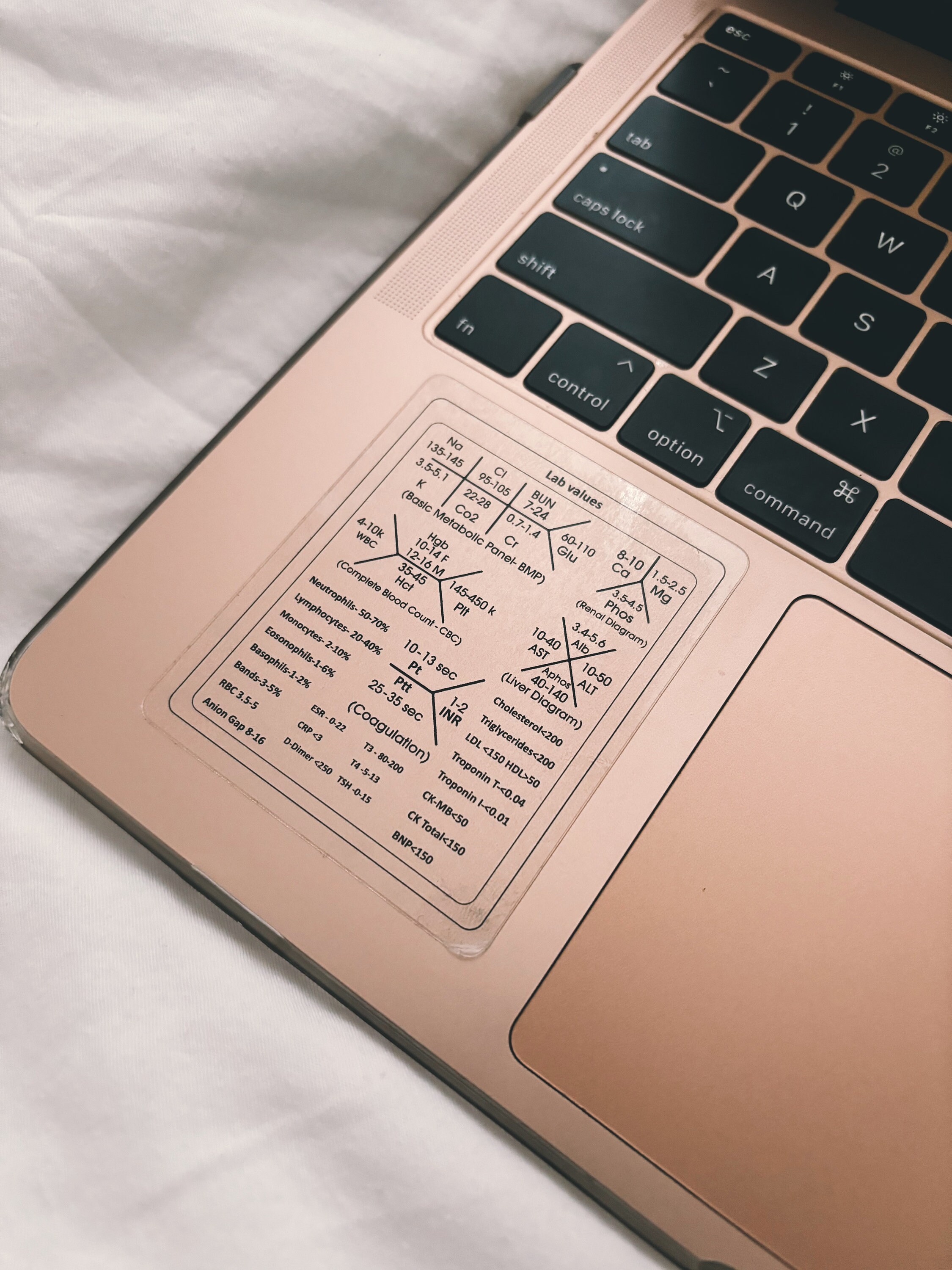 Your Comprehensive Guide to Normal Lab Values: Lab Value Sticker for ...