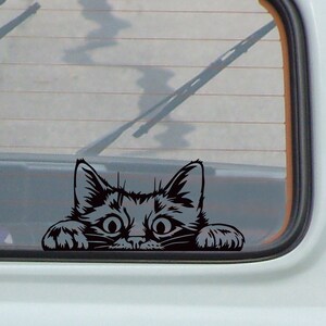 Cat Decal - Etsy