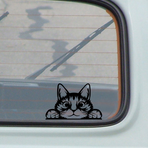 Cat Decal - Etsy