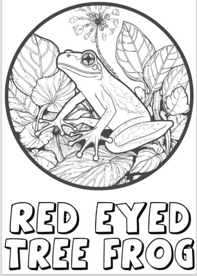 Costa Rica Wildlife Coloring Book - Etsy