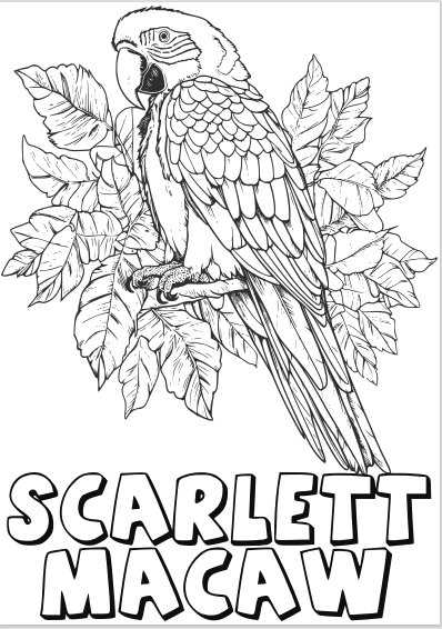 Costa Rica Wildlife Coloring Book - Etsy