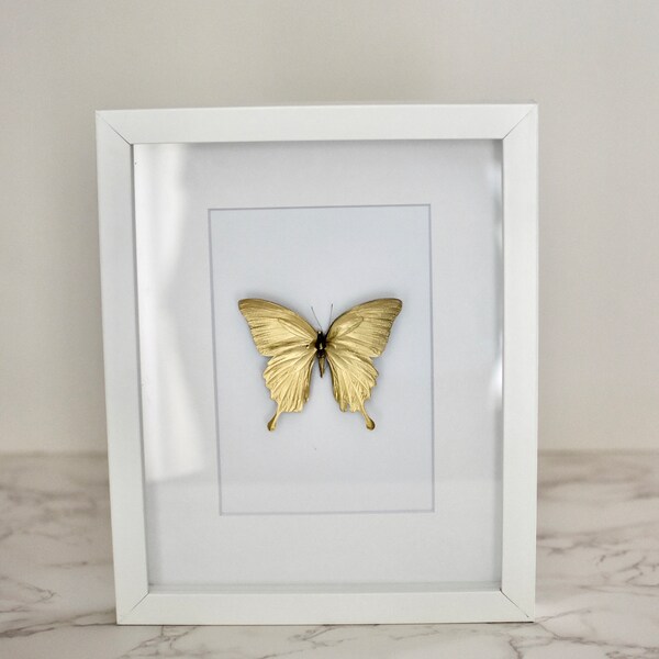 Real Butterfly Art - Etsy