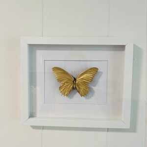Butterfly Art - Framed Butterflies - Gold Painted Butterflies - Nature ...