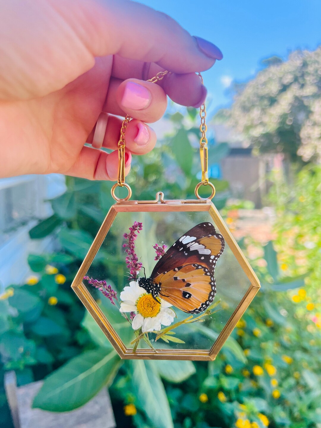 Pressed Flower & Butterfly Gold Glass Floating Frame Ornament Butterfly/nature Art Wall Art Home ...