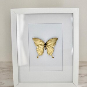 Butterfly Art - Framed Butterflies - Gold Painted Butterflies - Nature ...