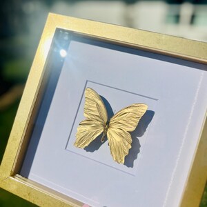 Butterfly Art - Framed Butterflies - Gold Painted Butterflies - Nature ...