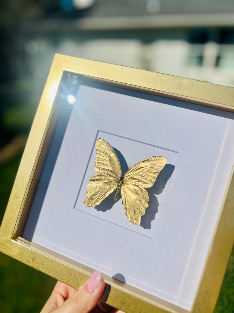 Butterfly Art - Framed Butterflies - Gold Painted Butterflies - Nature ...