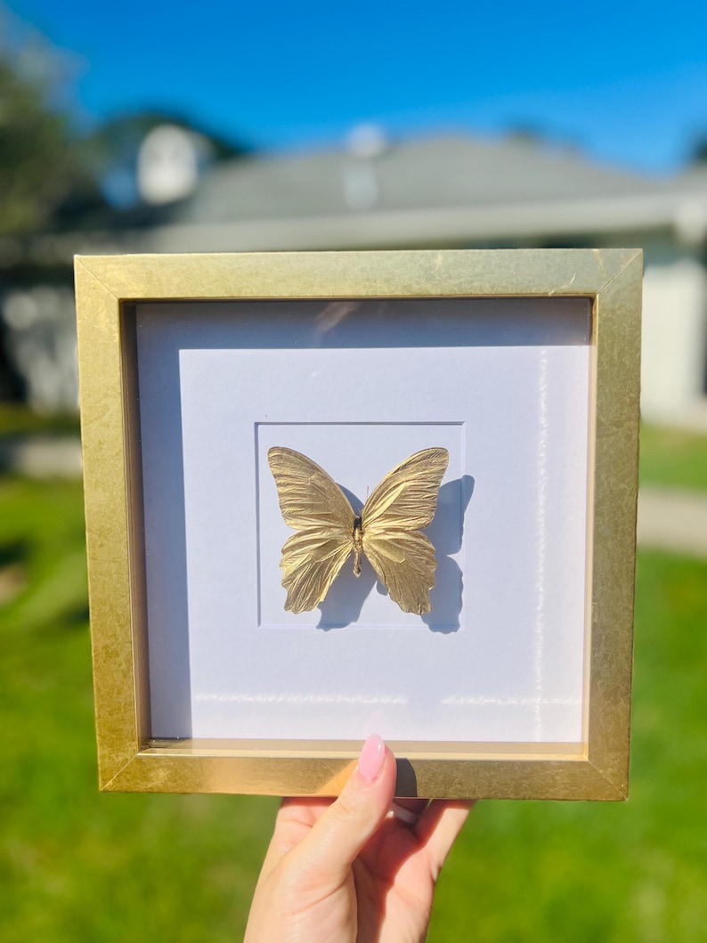 Butterfly Art - Framed Butterflies - Gold Painted Butterflies - Nature ...