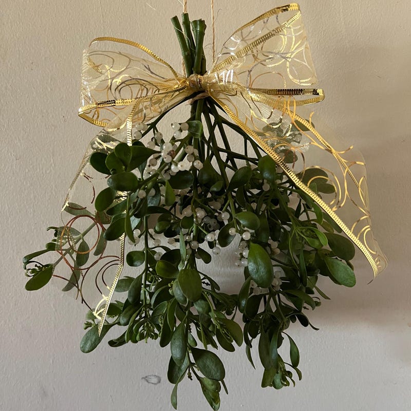 Hanging Mistletoe - Etsy