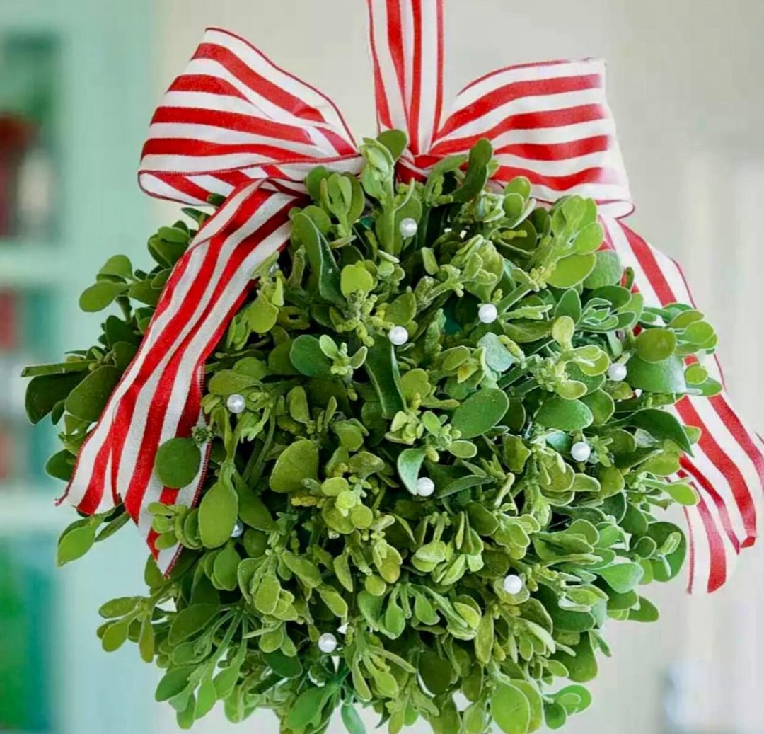 Mistletoe Kissing Ball, Fresh Mistletoe Ball, Mistletoe Kissing Ball ...