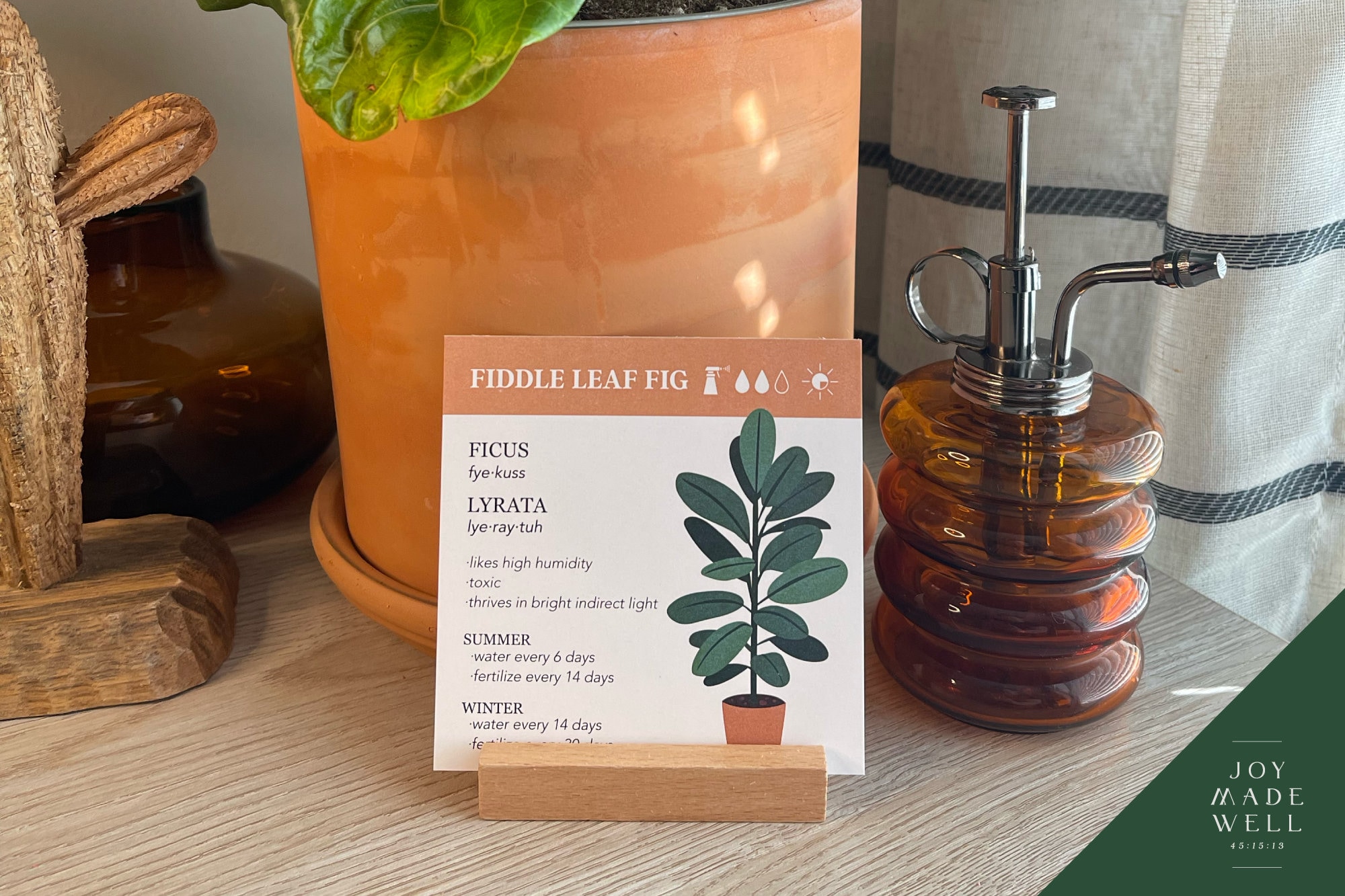 Printable Houseplant Plant Care Cards Printable Plant Label Common ...