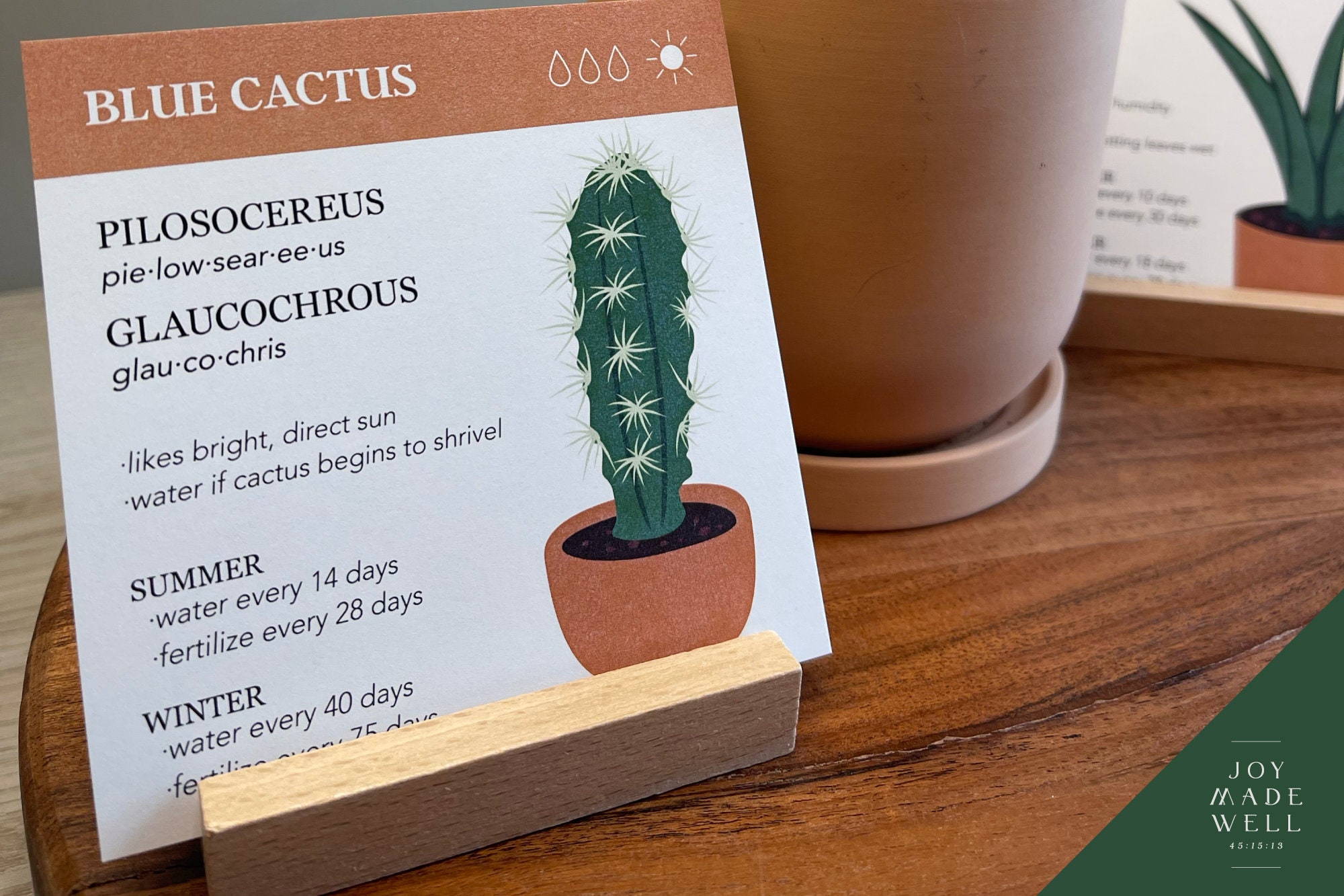 Printable Houseplant Plant Care Cards Printable Plant Label Common ...