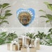 Capybirthday, Capybara Balloon, Capybara Gift, Capybara, Cute Capybara ...