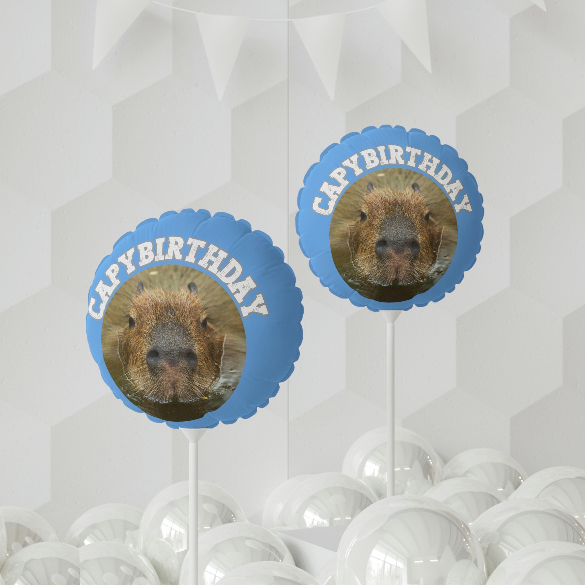 Capybirthday, Capybara Balloon, Capybara Gift, Capybara, Cute Capybara ...