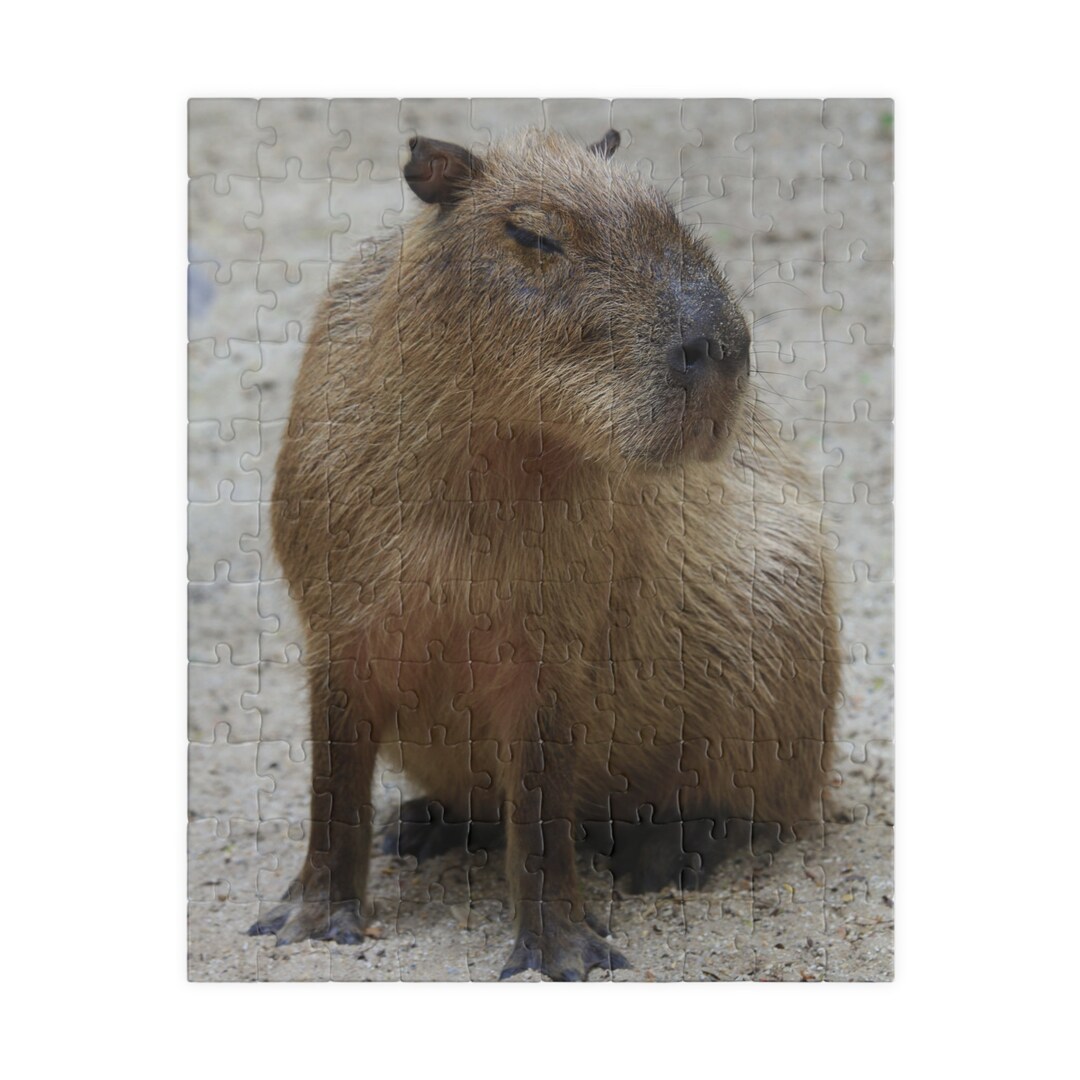 Capybara, Cute Capybara, Capybara Gift Puzzle 110, 252, 500, 1014-piece ...