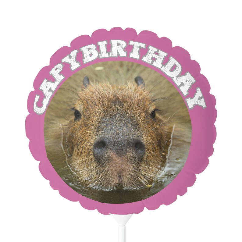 Capybirthday, Capybara Balloon, Capybara Gift, Capybara, Cute Capybara ...