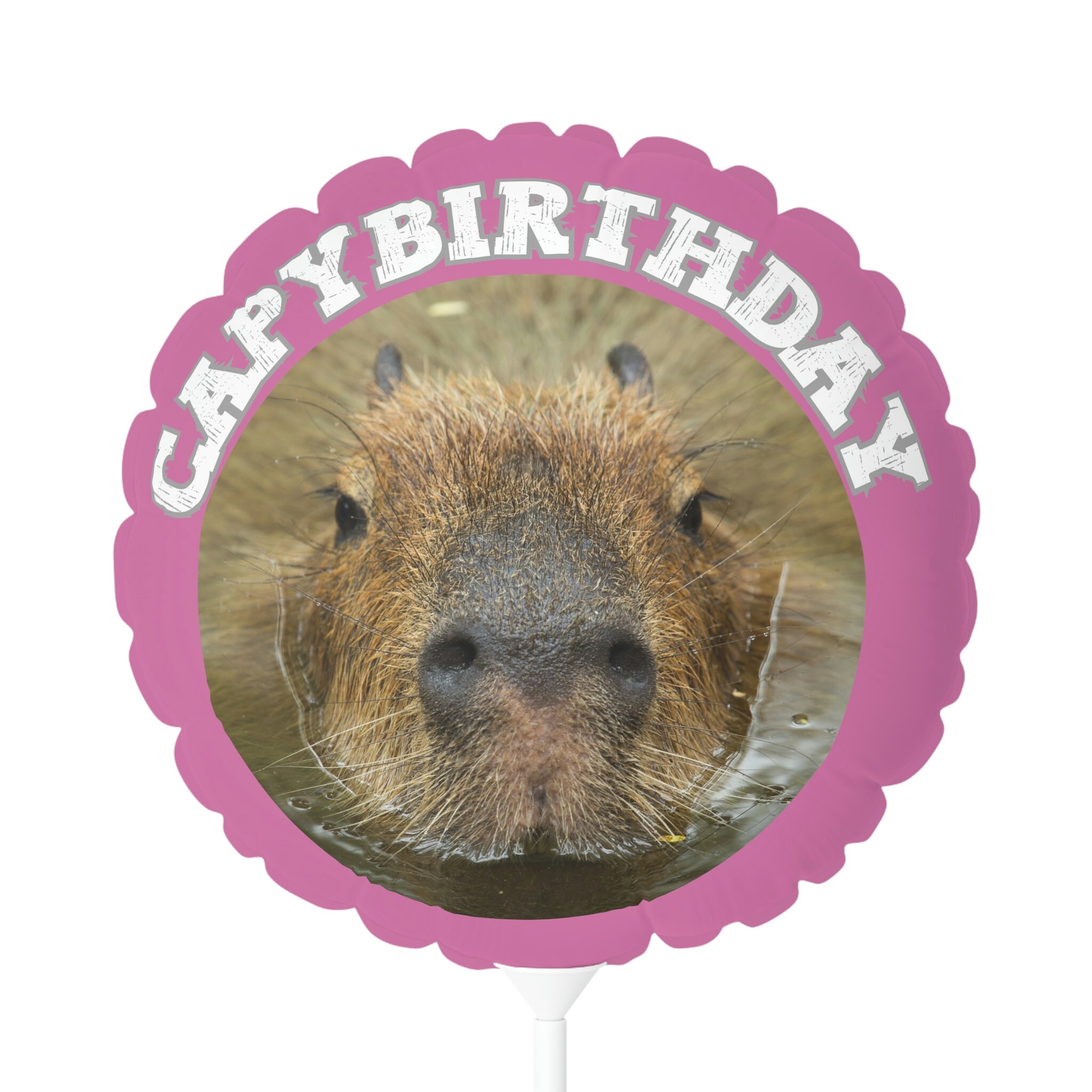 Capybirthday, Capybara Balloon, Capybara Gift, Capybara, Cute Capybara ...