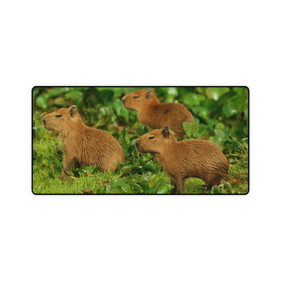 Capybara Desk Mats, Capybara - Etsy