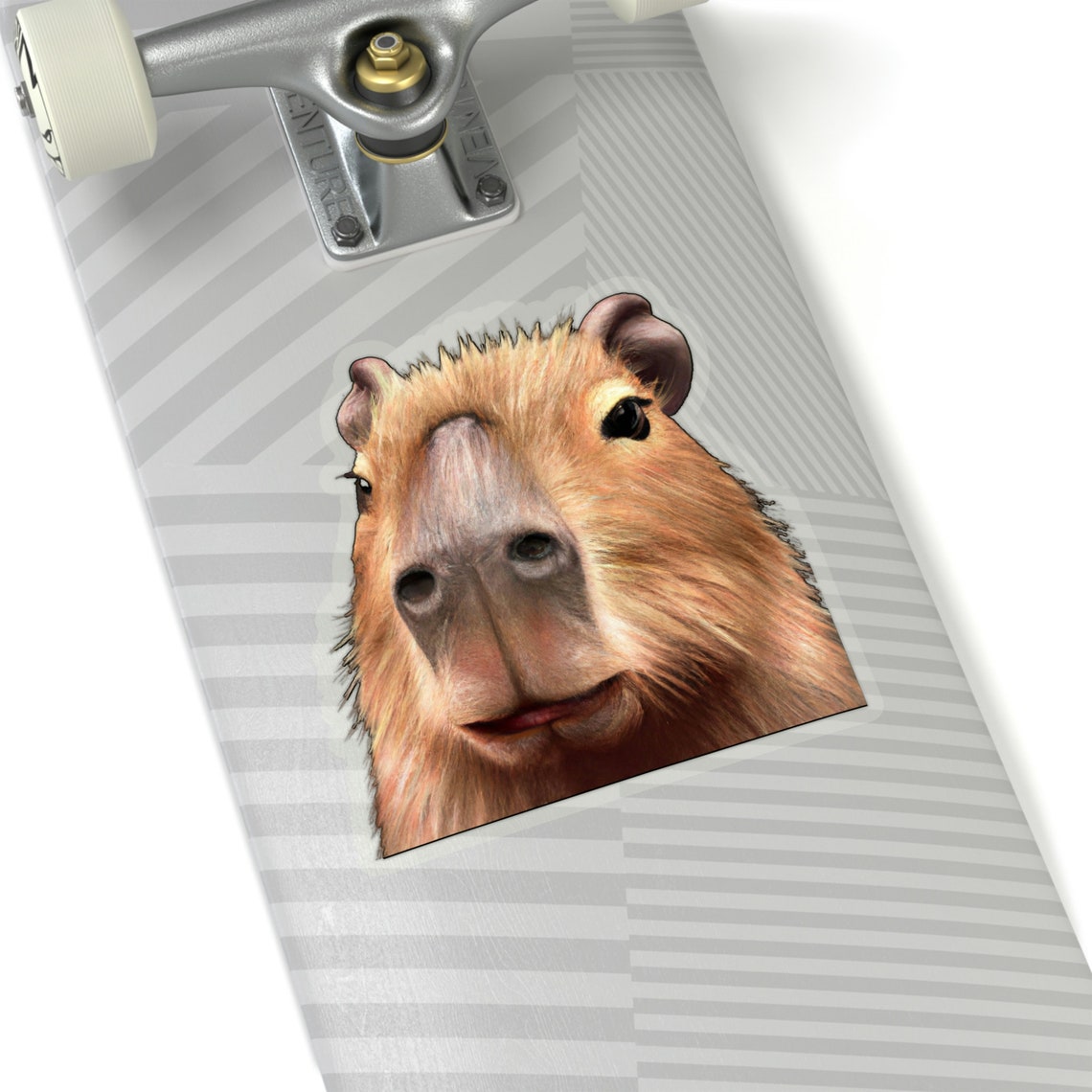 Capybara Sticker Caoybara Cute Capybara Capybara Gift - Etsy