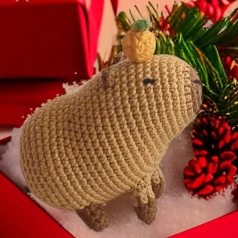 Capybara Crochet Kit Capybara Gift Cute Capybara - Etsy