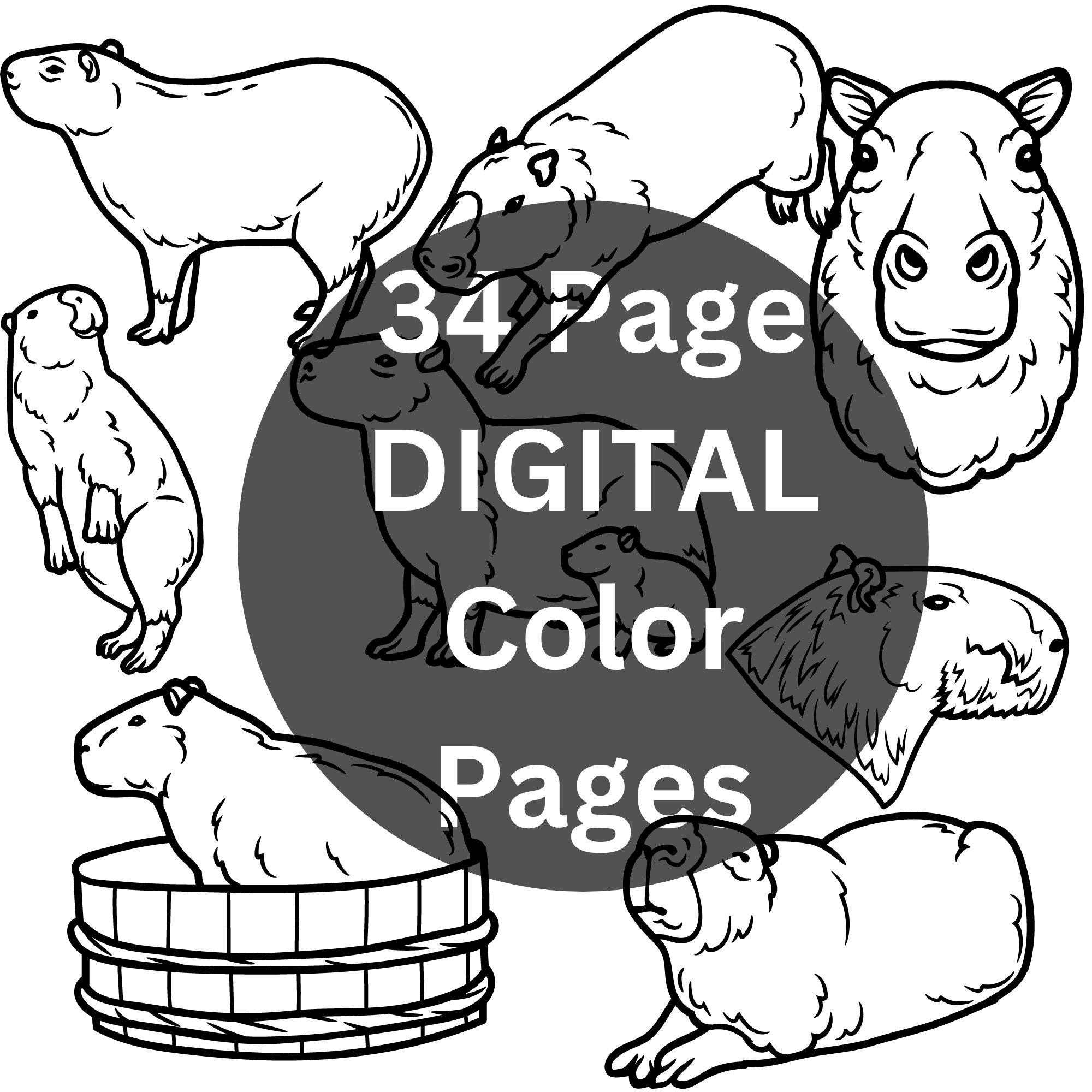 Capybara, Capy, Cute Capybara, Capybara Coloring Pages, Capybara ...
