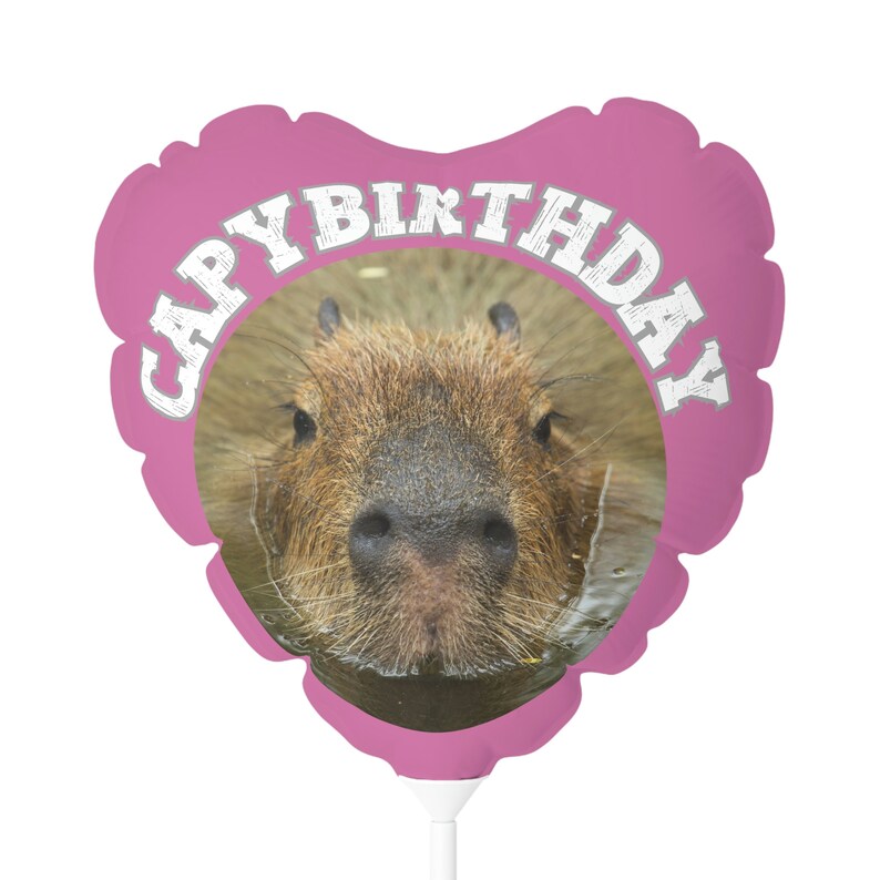 Capybirthday Capybara Balloon Capybara Gift Capybara Cute - Etsy
