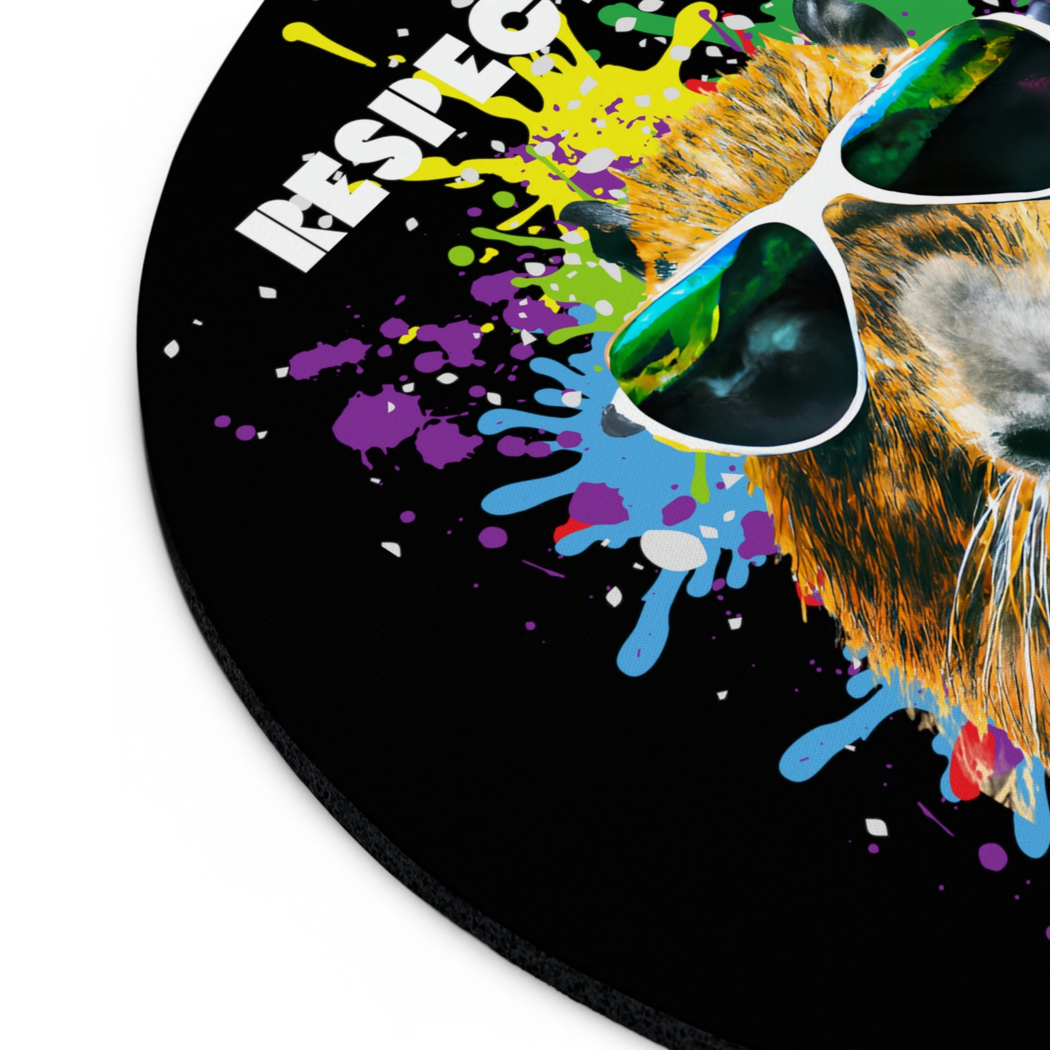 Respect the Capybara, Capybara, Capy, Cute Capybara, Capy Bara ...