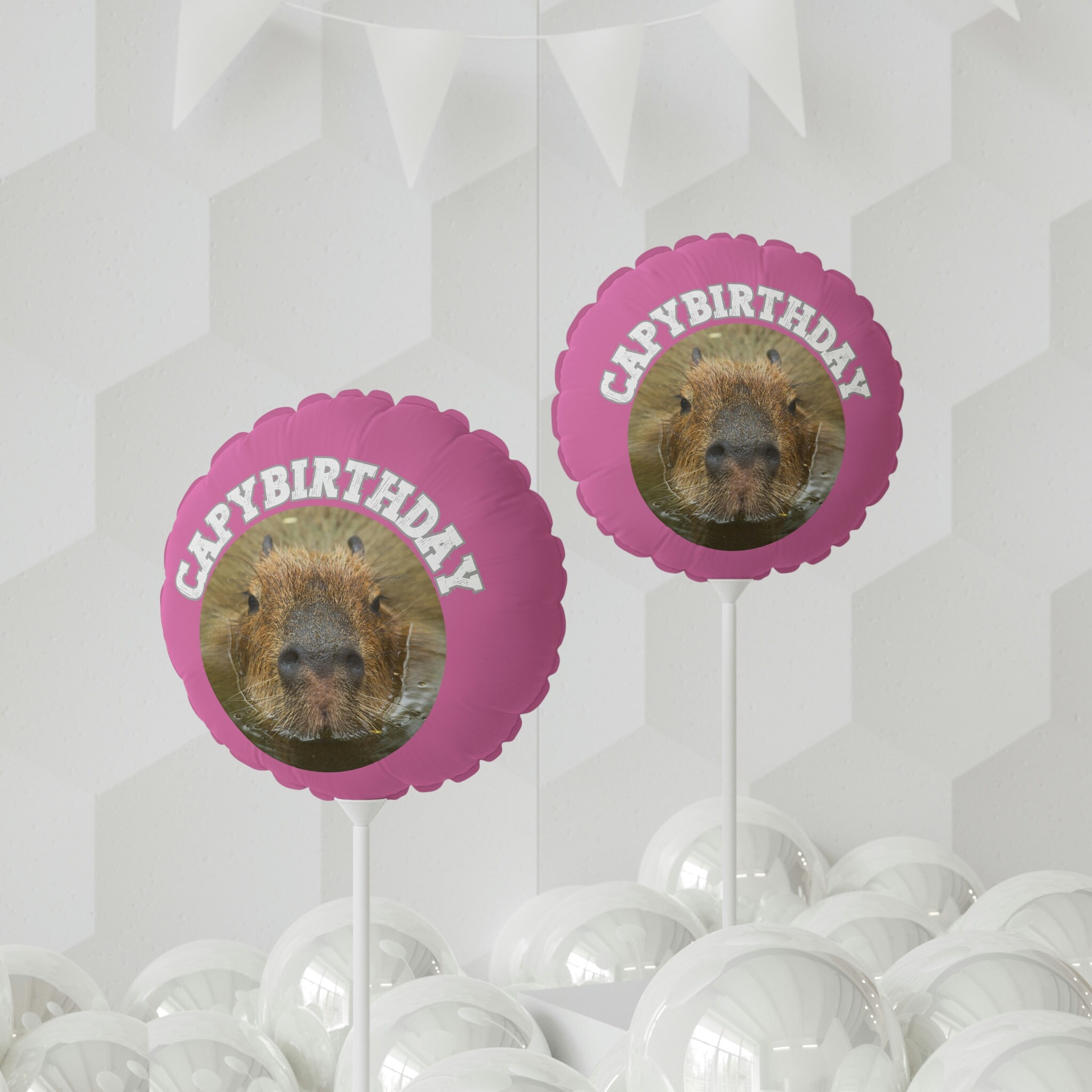 Capybirthday, Capybara Balloon, Capybara Gift, Capybara, Cute Capybara ...