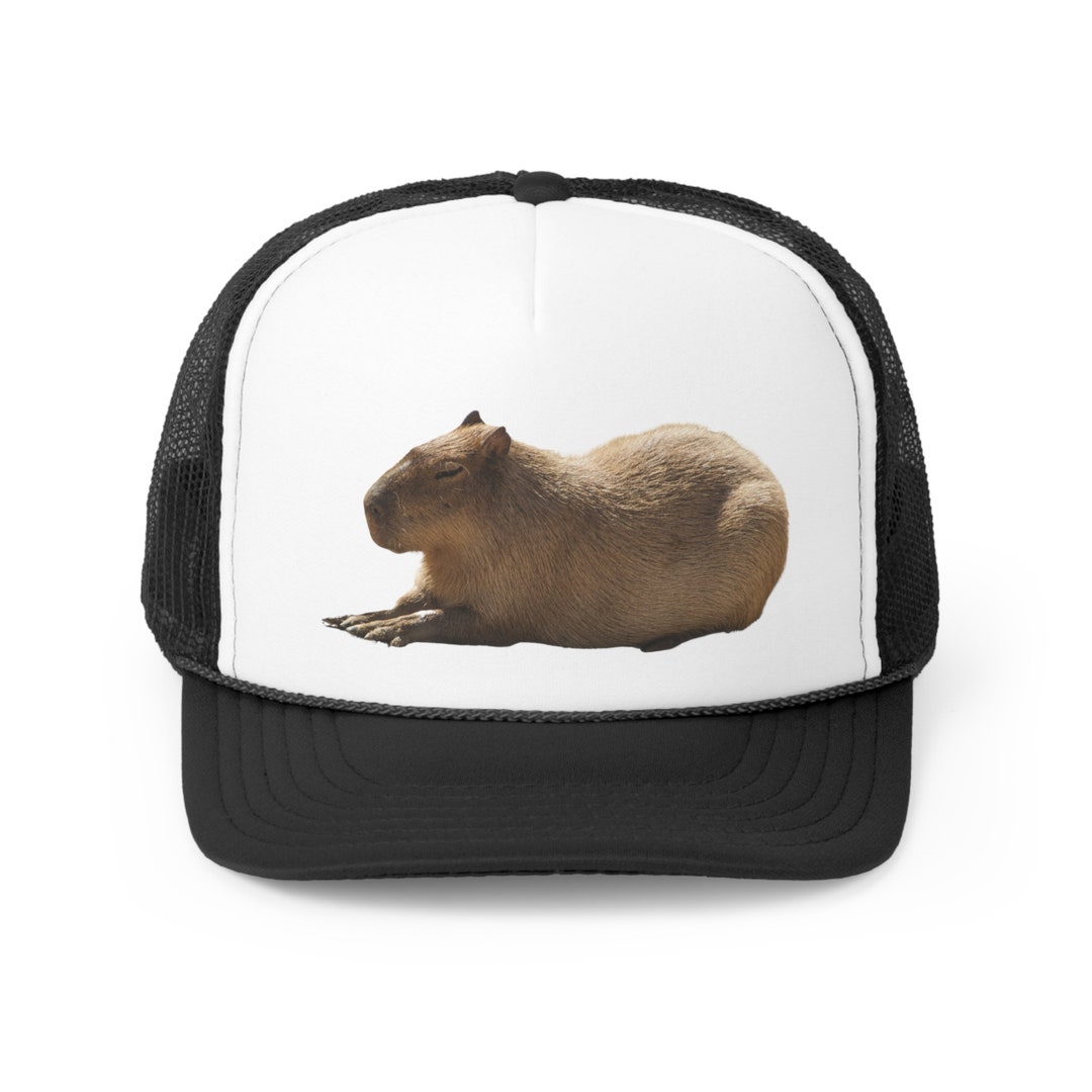Capybara Hat, Capybara Gift, Trucker Hat, Trucker Caps - Etsy