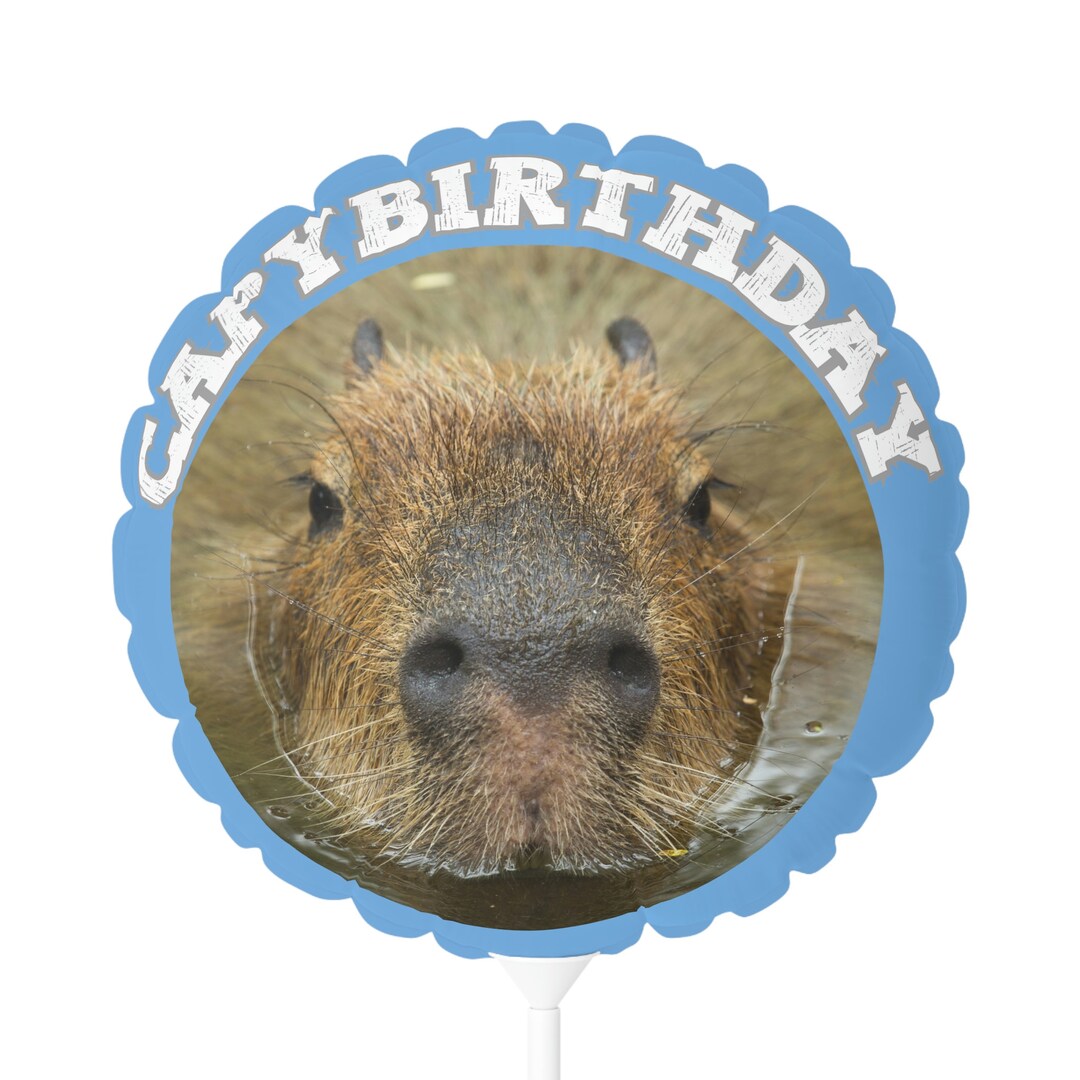 Capybirthday, Capybara Balloon, Capybara Gift, Capybara, Cute Capybara ...