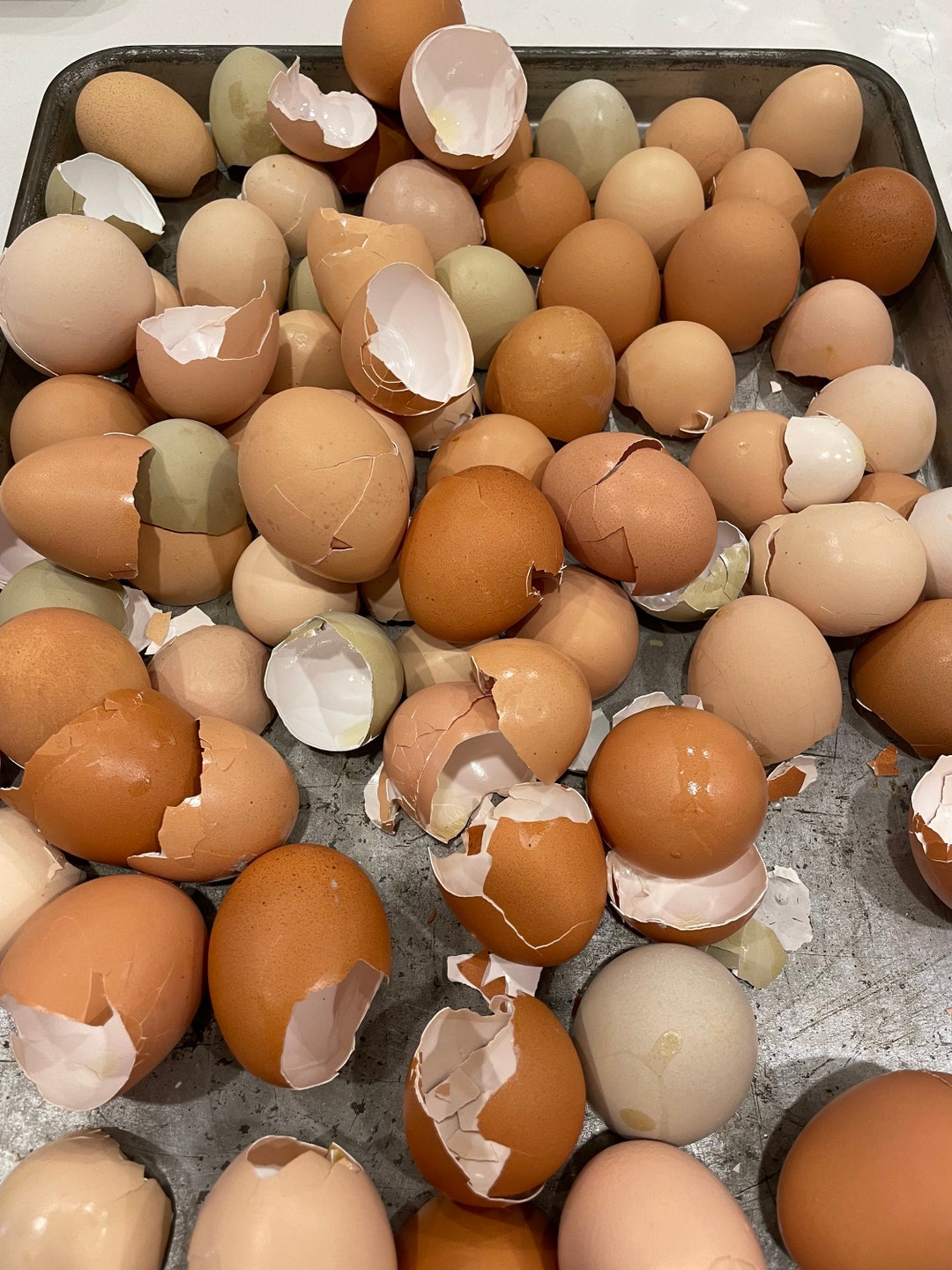 1 Pound (16 Oz) Free Range Rough Crushed Egg Shells - Etsy