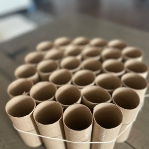 40 Toilet Paper Tubes - Etsy